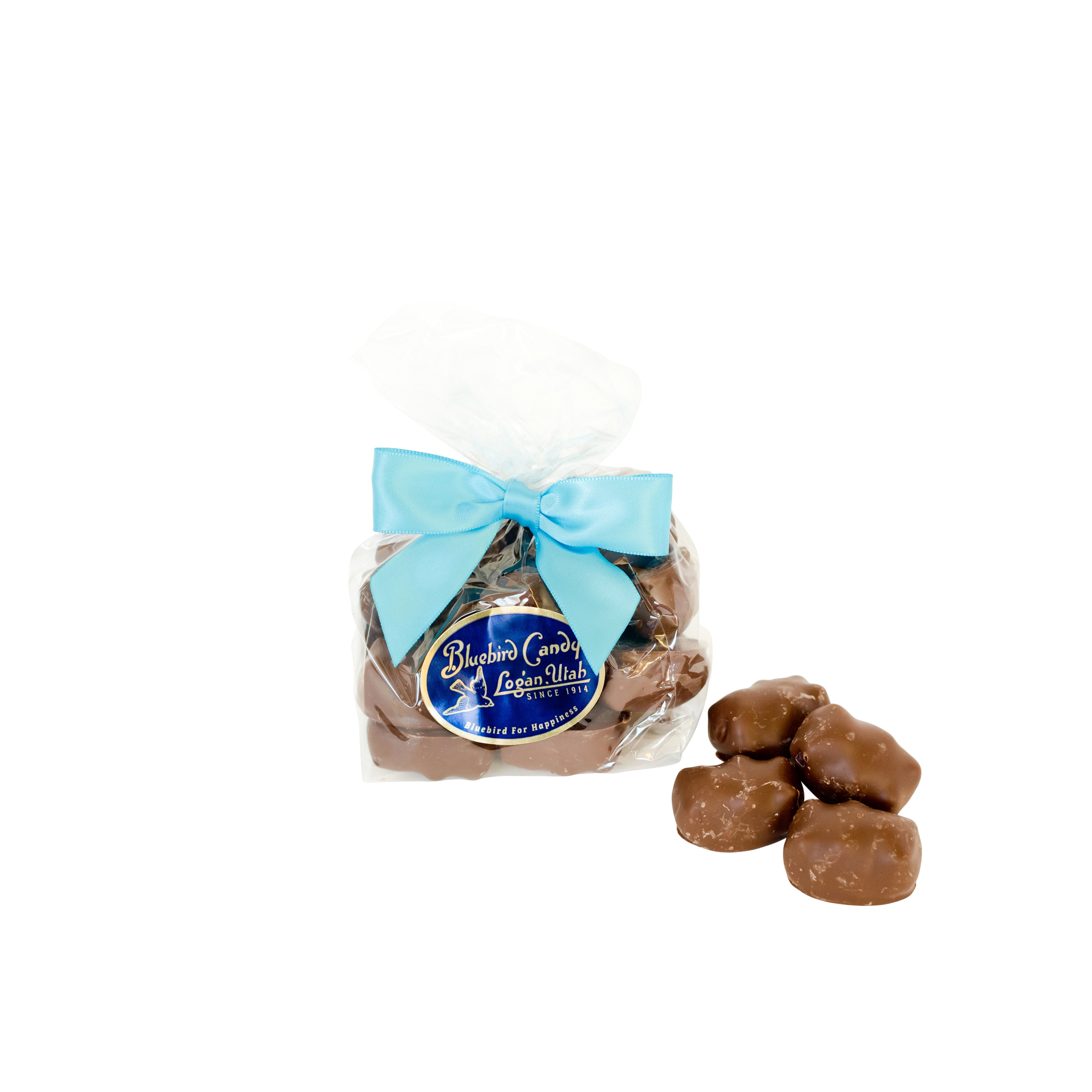 Chocolate Cinnamon Bears | Bluebird Candy
